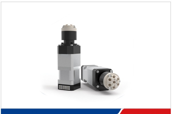 PEEK pump head-Analytical-Junhua PEEK